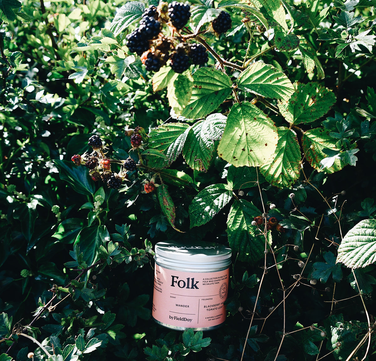 It's all happening at FieldDay! | Field Day Ireland