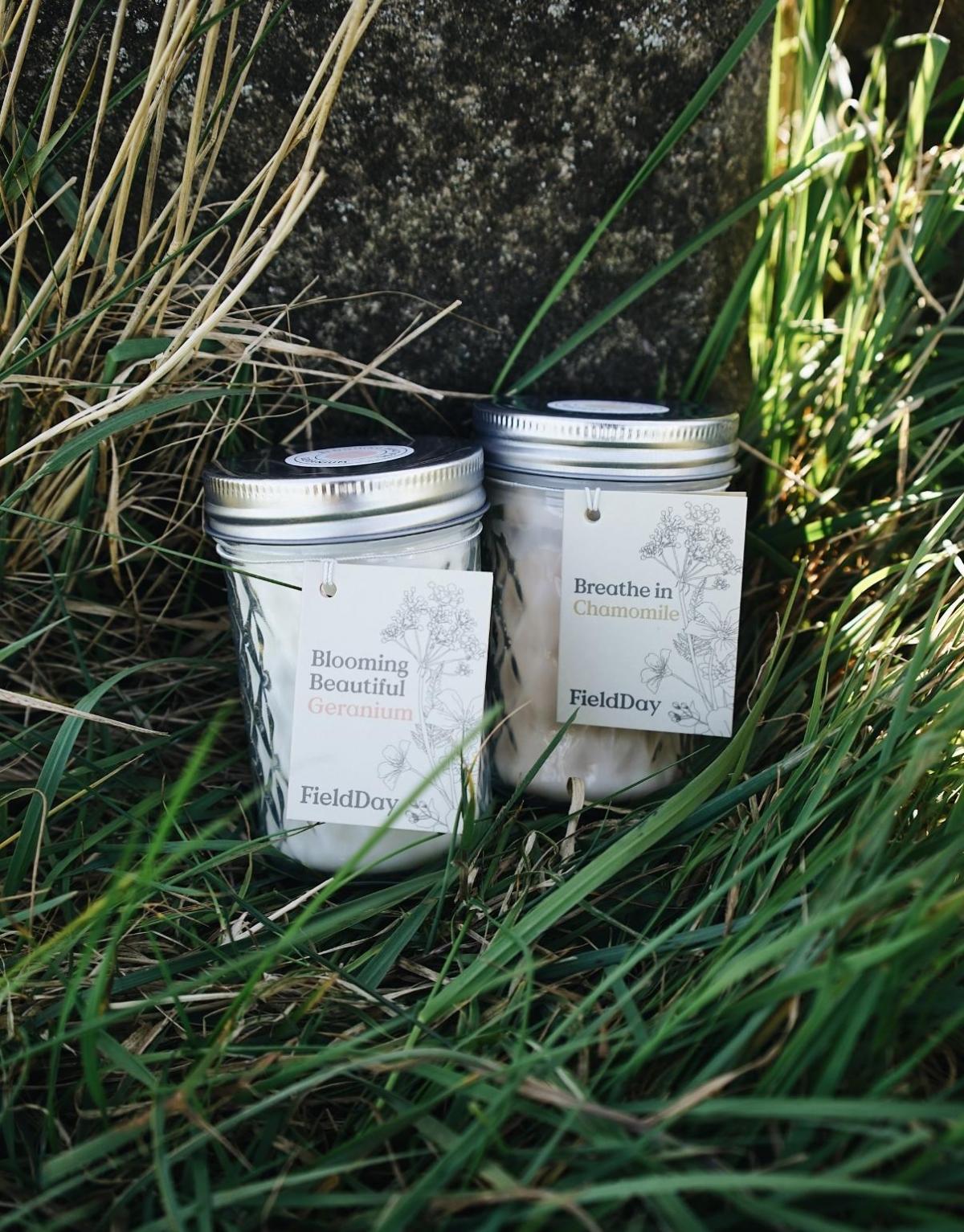 NEW at FieldDay! | Field Day Ireland