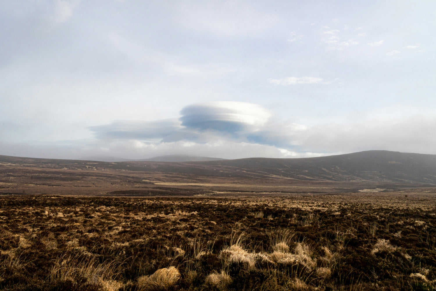 Bundles | Field Day Ireland